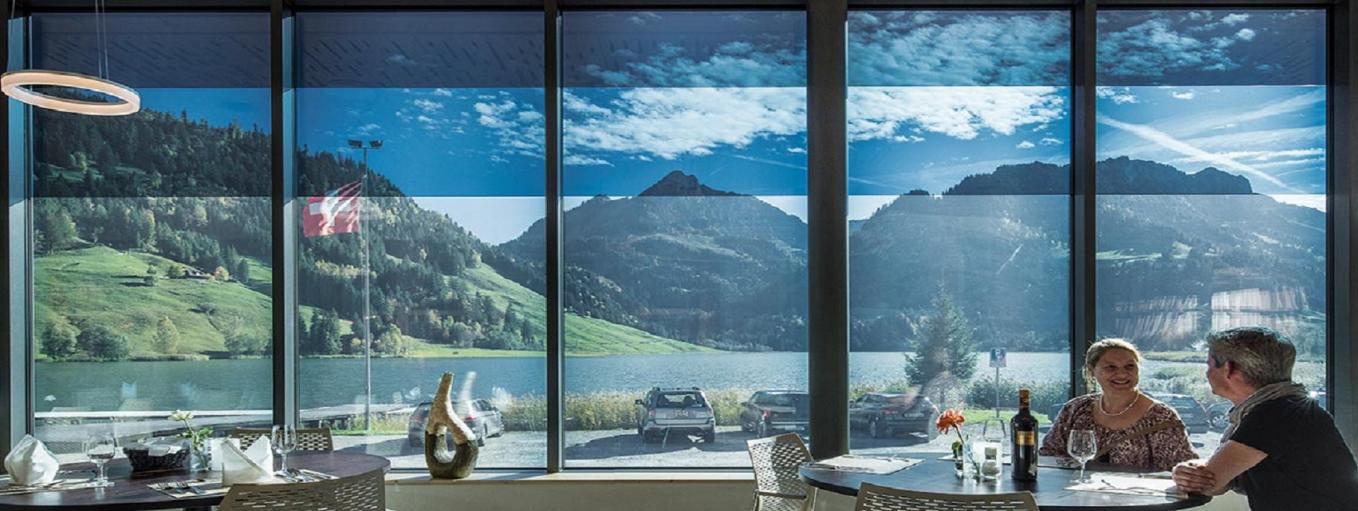 Your Guide on Smart Glass - Electrochrome Glass